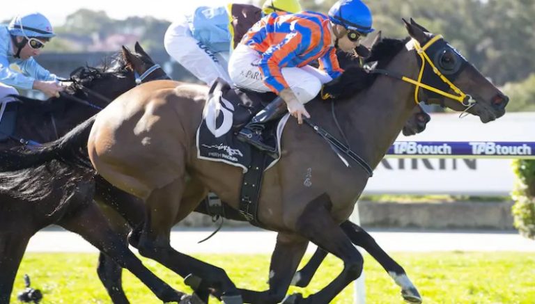 Kay Cee going places for Playing God | Thoroughbred Express