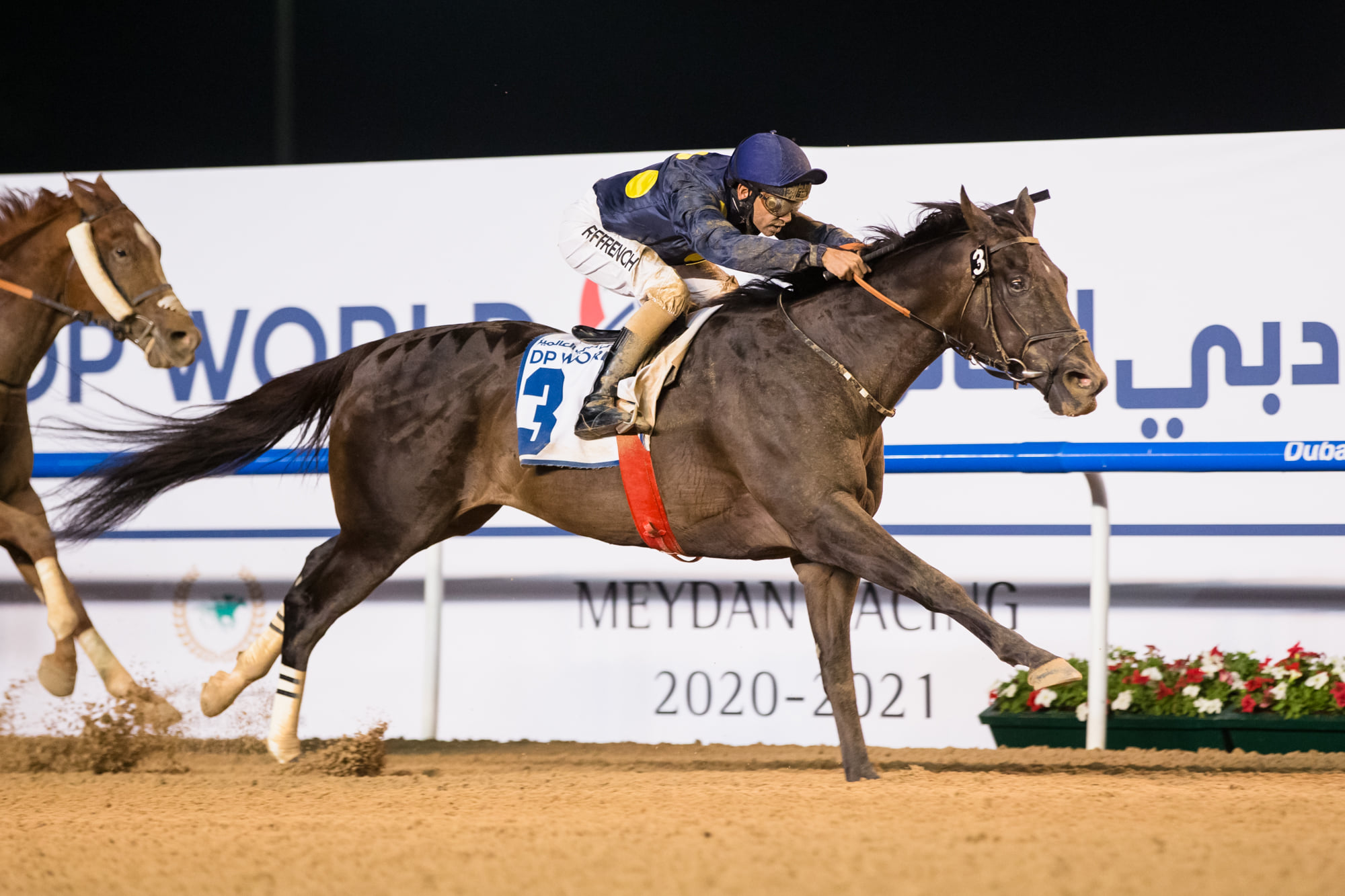 More Than Ready sprinter achieves Mission Impossible | Thoroughbred Express